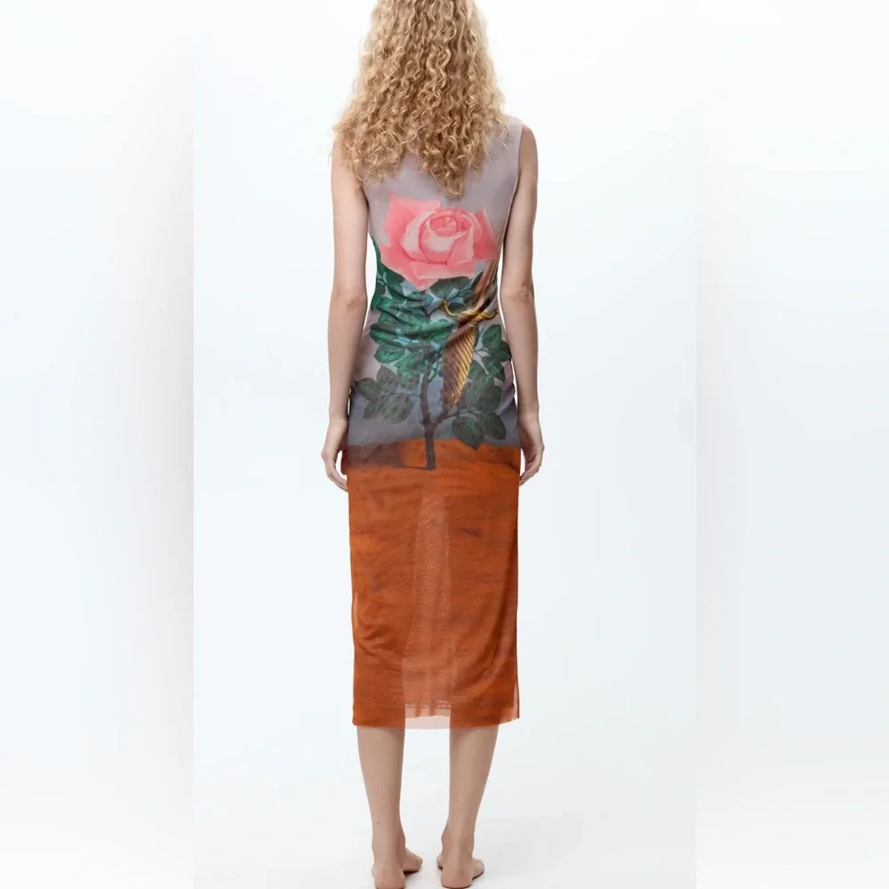 Zara | Dresses | Zara X Rene Magritte Tulle Dress Nwt | Poshmark